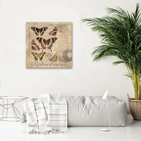 Gario Obraz na plátně Motýli na béžovém pozadí - Andrea Haase Rozměry: 30 x 30 cm