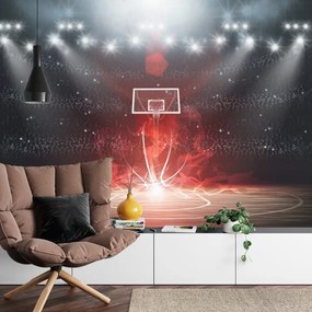 Fototapeta Futuristické Basketbalové Hřiště Omyvatelný vlies 368x280