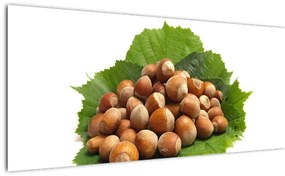 Lískové ořechy, obraz (100x40cm)