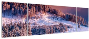 Obraz zimní krajiny (170x50 cm)