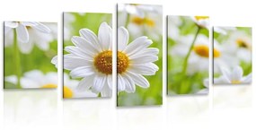 5-dílný obraz jarní louka plná květin - 200x100 cm