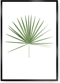 Plakát Tropical Leaf Green