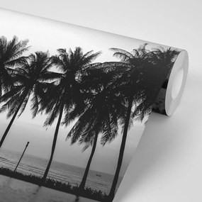 Tapeta západ slunce nad palmami v černobílém