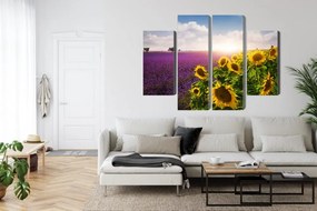 Vícedílný obraz Levandulová A Slunečnicová Pole 3D Nedostatek Nedostatek Přírodní plátno 80x60