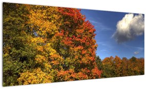 Podzimní stromy - obraz (100x40cm)