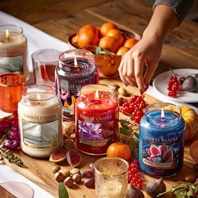 Yankee Candle - vonná svíčka Mulberry & Fig Delight (Lahodné moruše a fíky) 623g