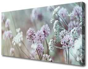 Obraz na plátně Polní Květiny Louka Příroda 120x60 cm