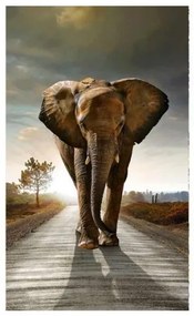 DIMEX | Vliesová fototapeta na zeď Kráčející slon MS-2-0225  | 150 x 250 cm | šedá, béžová, zelená, modrá