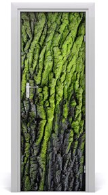 Fototapeta samolepící Kůra stromu 75x205 cm