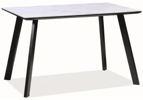 Jídelní stůl Samuel 120 x 80 cm, bílá / černá