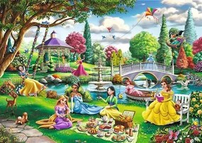 TREFL Puzzle Premium Plus Disney princezny: Piknik / 1000 dílků / 68,3