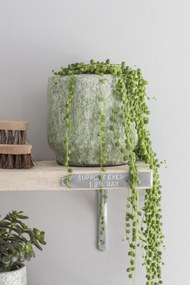 Garden Trading Obal na květináč Alderton, zelená barva, keramika 17cmx17cm