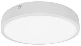 Palnas Stropní/nástěnné LED svítidlo EGON ø 14,5 cm Barva: Bílá, 3000K