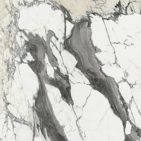 Rex Les Bijoux dlažba 60x60 calacatta altissimo blanc glossy 1,1 m2