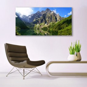 Plexisklo-obraz Tatry Hory Mořské Oko Les 120x60 cm