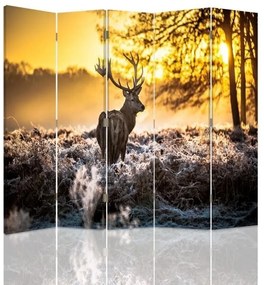 Ozdobný paraván Jelen Západ slunce Příroda - 180x170 cm, pětidílný, obustranný paraván 360°