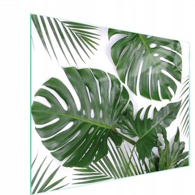 Skleněná Krájecí Deska 52x40 Monstera Tvrzené Sklo