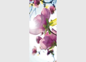 Vliesová fototapeta na zed' Květy Magnolie | 202 x 90 cm | DFTNV2873
