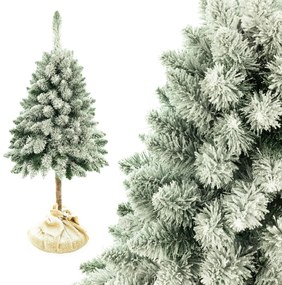 Vánoční stromek Borovice zasněžená na pníku 220 cm
