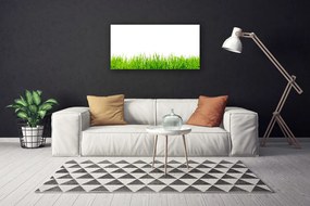 Obraz na plátně Tráva Příroda Rostlina 140x70 cm