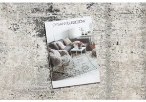 Dywany Luszczow Kusový koberec TULS střapce 51321 Vintage, rámu, růžice béžový / šedá Rozměr koberce: 120 x 170 cm