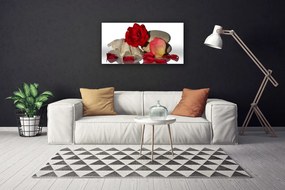 Obraz na plátně Růže Plátky Mrtvá Příroda 100x50 cm