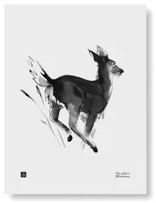 Plakát White-tailed Deer 30x40 cm Teemu Järvi Illustrations