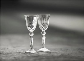 Křišťálové skleničky v sadě 4 ks na likér 50 ml Melodia – Lyngby Glas