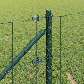Evropský plot se hroty 10 x 0,8 m Ocel potažená PVC Zelená 3350562