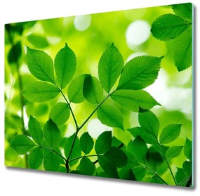 Skleněná krájecí deska Zelené listy 60x52 cm