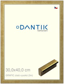 DANTIK rámeček 30x40 | GRAFIC zlatá vysoká (Plexi Čiré)