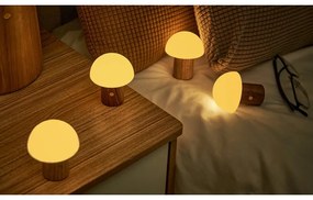 LED stmívatelná stolní lampa z jasanového dřeva v přírodní barvě (výška 7 cm) Alice – Gingko