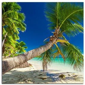 Obraz na plátně - Pláž s palmami  - čtverec 384A (50x50 cm)