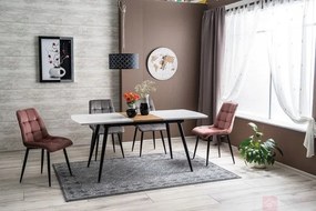 Čalouněná jídelní židle Chic Velvet - výběr z 8 provedení