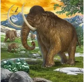 Ravensburger - Puzzle - Dinosauři a čas / 3x49 dílků / od 5 let