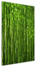 Wallmuralia Vertikální Foto obraz sklo tvrzené Bambusový les 50x100