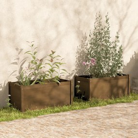 Zahradní truhlíky 2 ks medově hnědé 100 x 50 x 50 cm borovice - Default Title