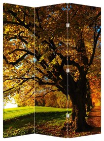 Paraván - Podzim (126x170 cm)