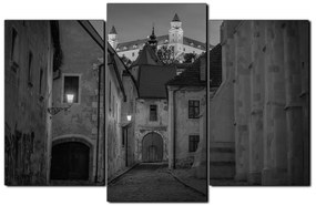 Obraz na plátně - Bratislava staré město s hradem vzadu 1265QC (135x90 cm)