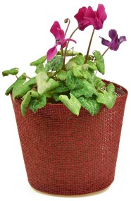 Vingo Květináč červený s igelitovou vložkou - 15 x 13 cm