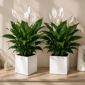 umělá květina, květ lilie, výška 47 cm, plast, bílá, Dekorino UK20260017