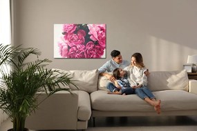 Obraz Kytice Pivoňkových Růží Nedostatek Nedostatek Přírodní plátno 90x60