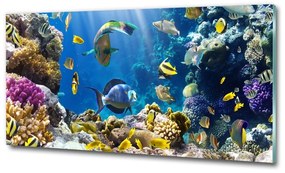Wallmuralia Fotoobraz na skle Korálový útes 100x50