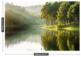 Fototapeta borovice 104x70