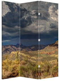 Paraván - Kaktusy v přírodě (126x170 cm)