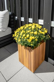 XXXLutz TRUHLÍK NA KVĚTINY dřevo, 30/30/35 cm Prestige Home - Květináče a obaly na květináče - 005379009501
