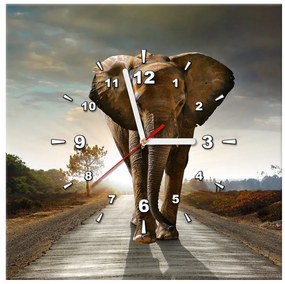 Gario Obraz s hodinami Osamělý silný slon Rozměry: 40 x 40 cm