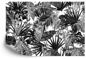 Fototapeta Tropické Listy Omyvatelný vlies 416x254