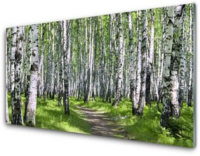 akrylový obraz Les Stezka Příroda 100x50 cm