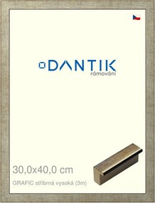 DANTIK rámeček 30x40 | GRAFIC stříbrná vysoká (Plexi Čiré)